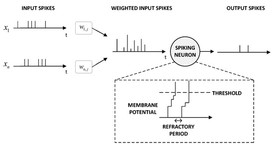 A Review of Algorithms and Hardware Implementations for Spiking Neural Networks