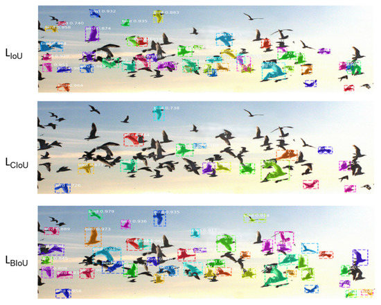 BIoU: An Improved Bounding Box Regression for Object Detection