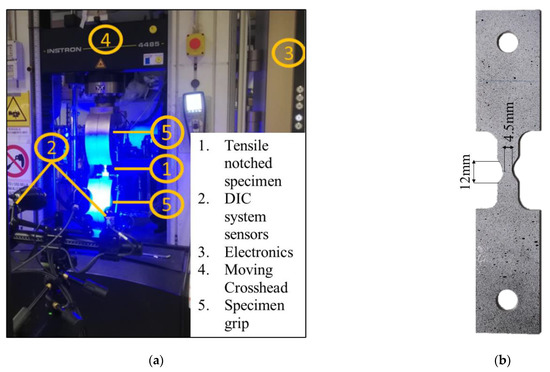 Study of Tailored Hot Stamping Process on Advanced High-Strength Steels