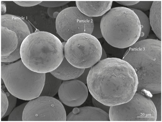 Effect of the Sintering Conditions on the Neck Growth during the Powder ...