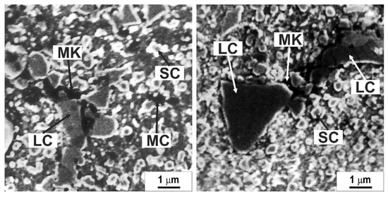 The Chip Formation Process When Cutting High-Speed Steels and Ti3SiC2 ...