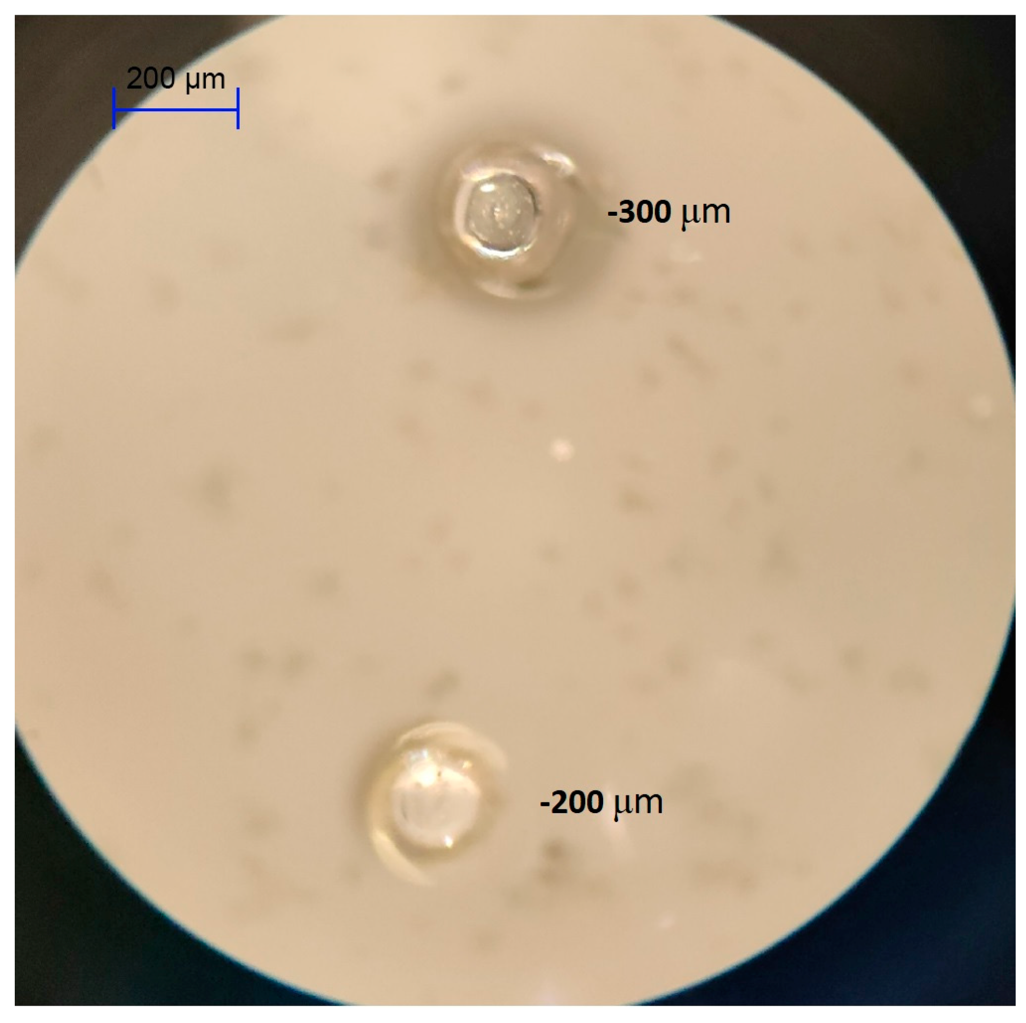 JMMP | Free Full-Text | Picosecond Laser-Induced Bump Formation on ...