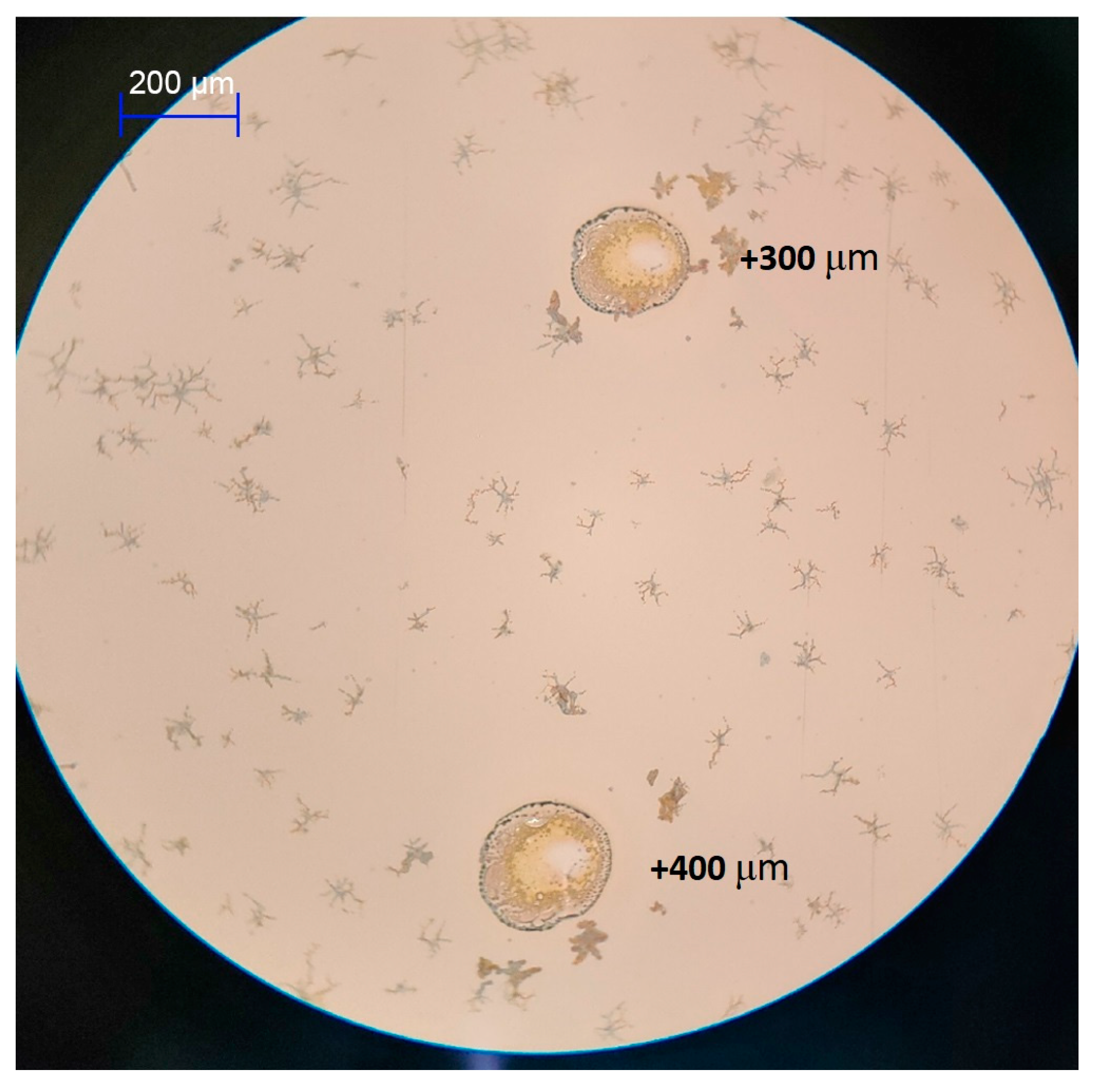 Picosecond Laser-Induced Bump Formation on Coated Glass for Smart ...