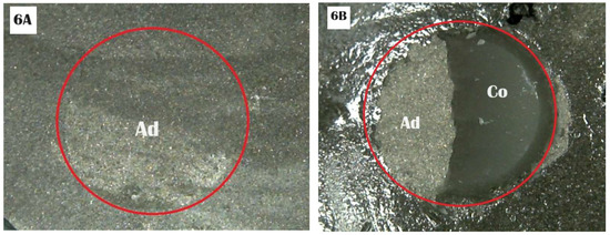 The Effect of Multiple-Time Applications of Metal Primers Containing 10 ...