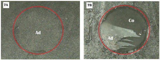 The Effect of Multiple-Time Applications of Metal Primers Containing 10 ...
