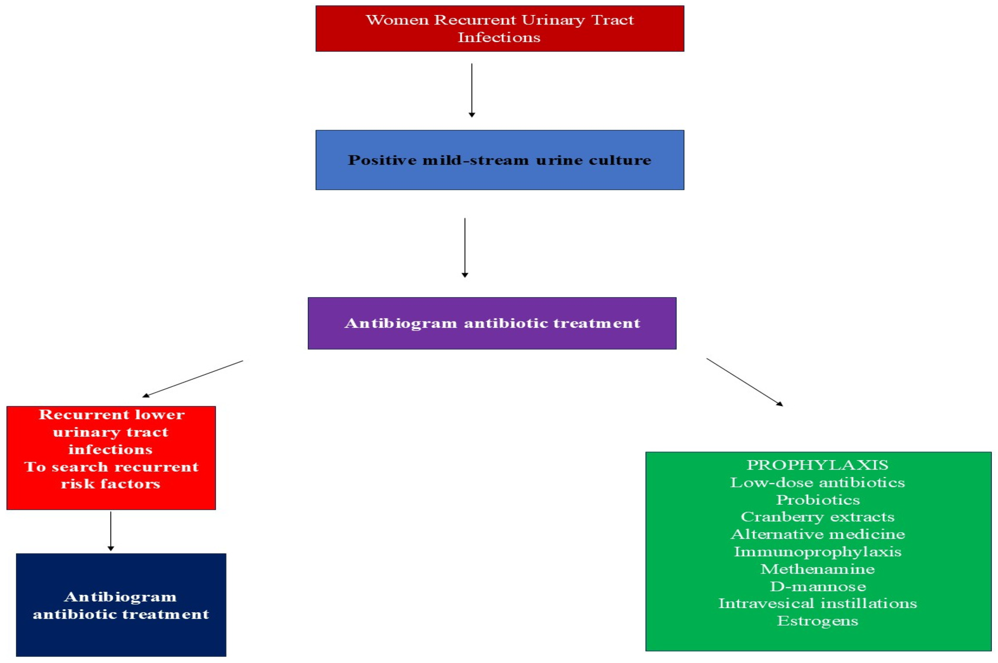 Recurrent Urinary Tract Infections in Female Patients—A Clinical Review