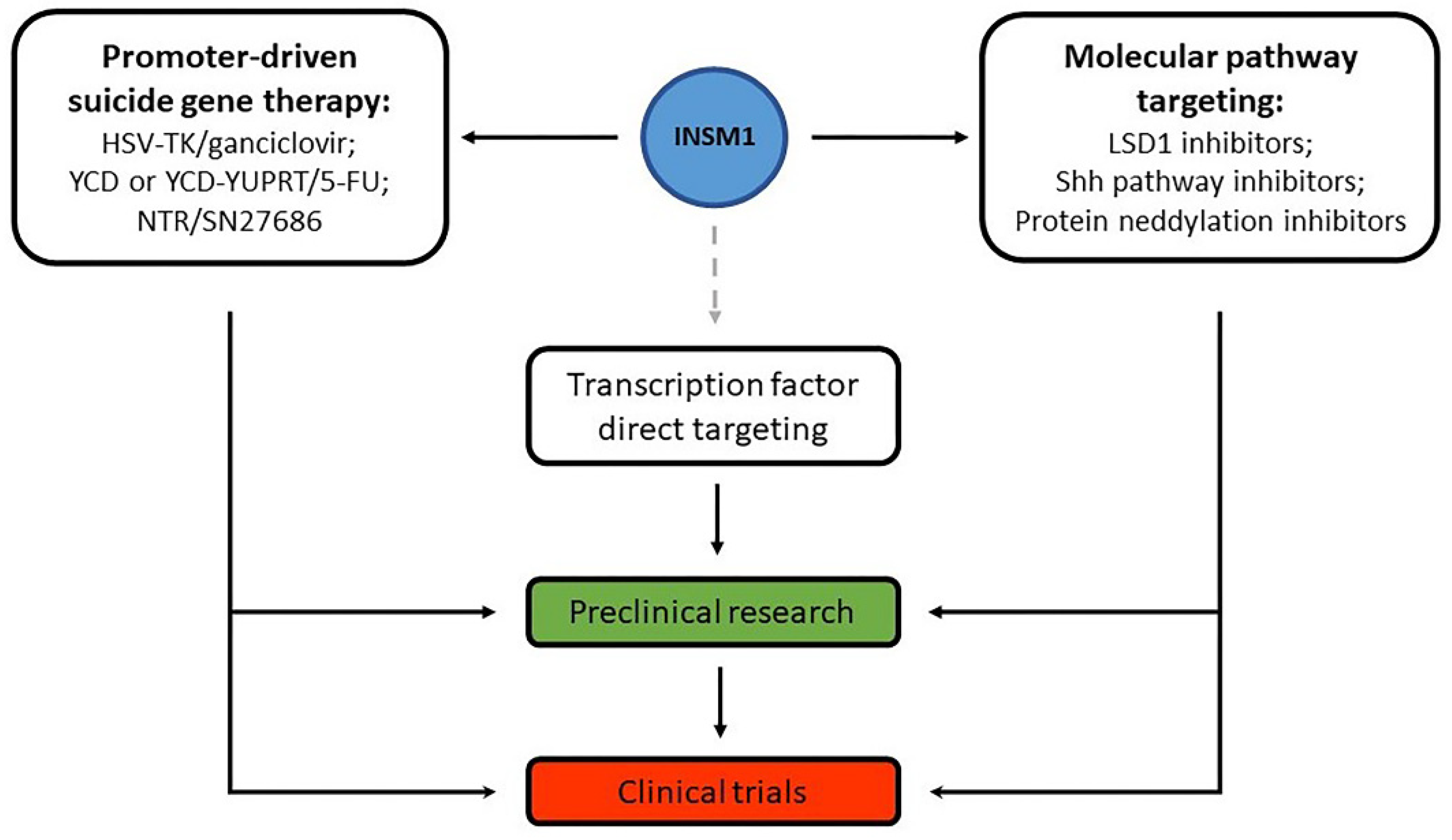 JMP | Free Full-Text | Insulinoma-Associated Protein 1 (INSM1 ...