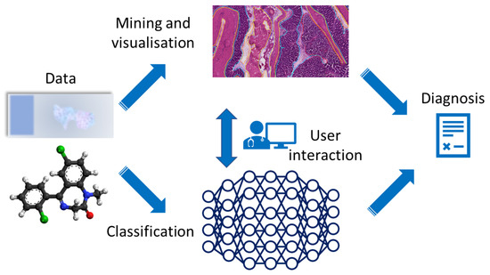 Next Generation Digital Pathology: Emerging Trends and Measurement ...