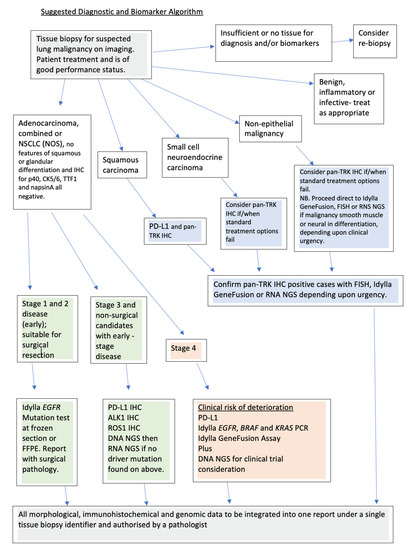 RNA-Based Next-Generation Sequencing in the Somatic Molecular Testing ...