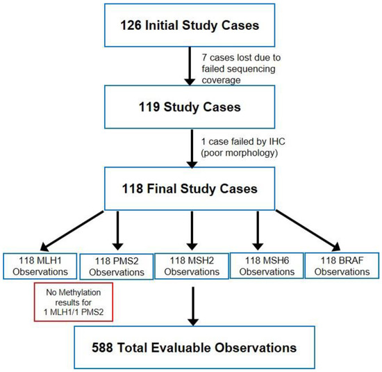 JMP | Free Full-Text | DNA Mismatch Repair Proteins and BRAF V600E Detection by ...