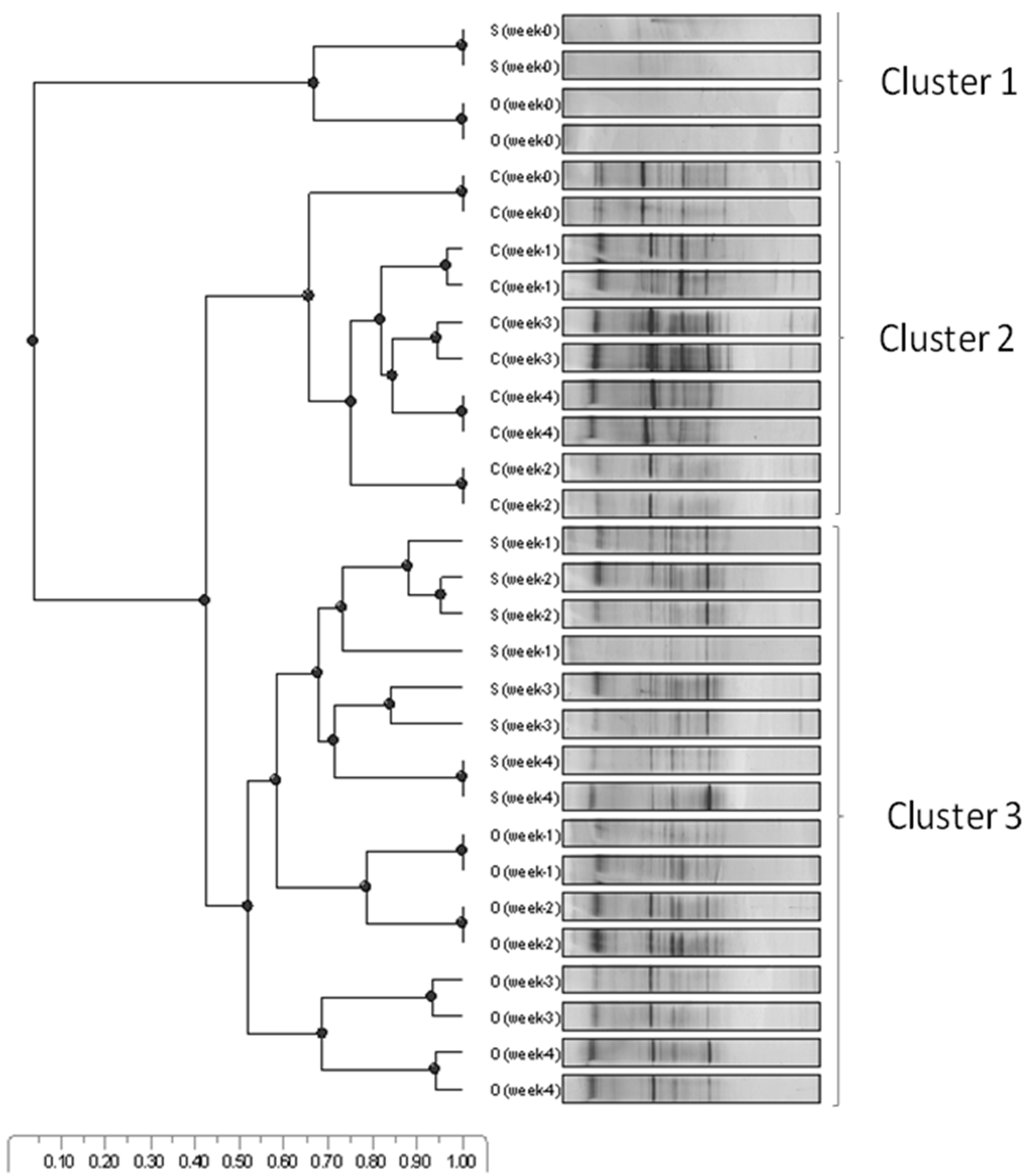 JMSE | Free Full-Text | RNA-TGGE, a Tool for Assessing the Potential ...