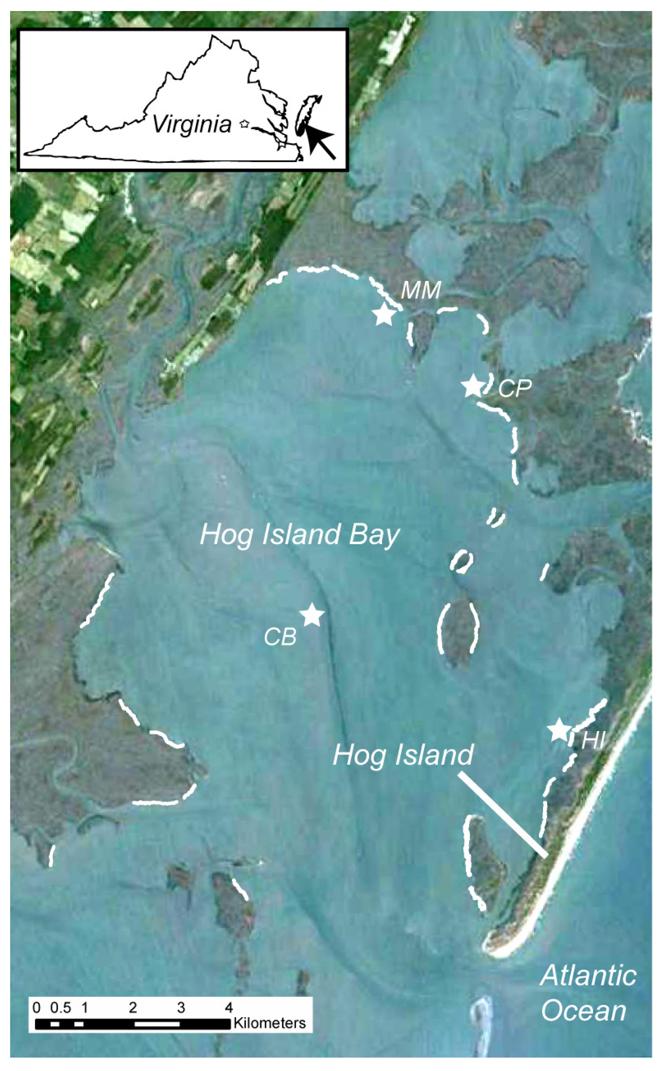 The New Era (Part V of Untangled Roots) - Chapter 26 - ICanStopAnytime ...