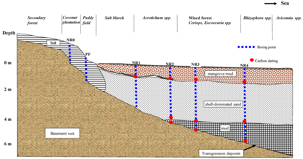Soil Organic Carbon in Mangrove Ecosystems with Different Vegetation ...