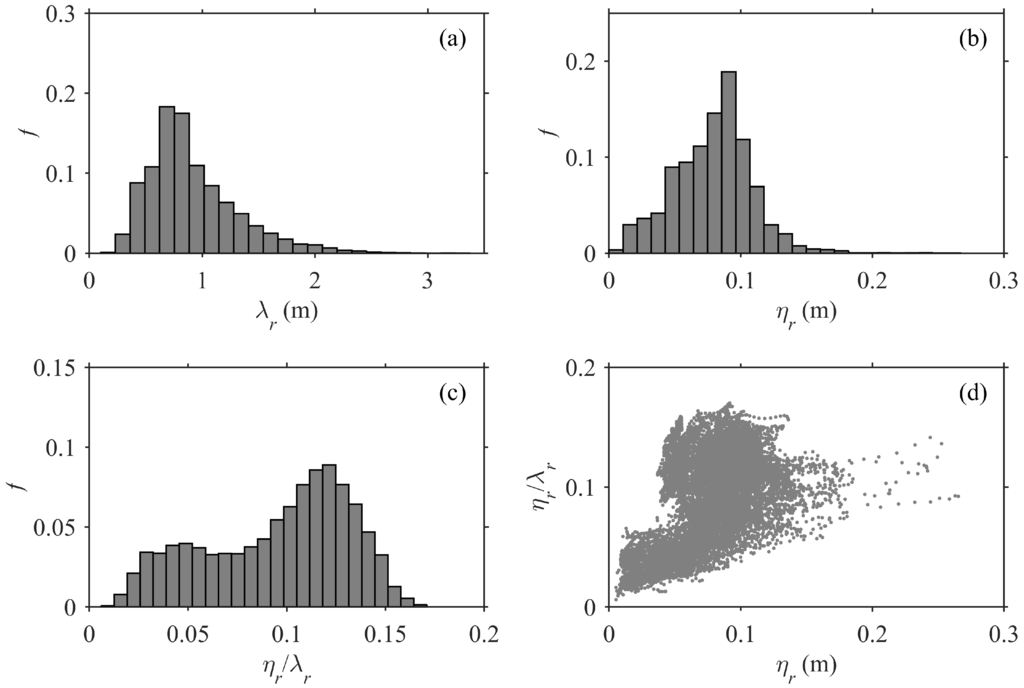 Geometry of Wave-Formed Orbital Ripples in Coarse Sand