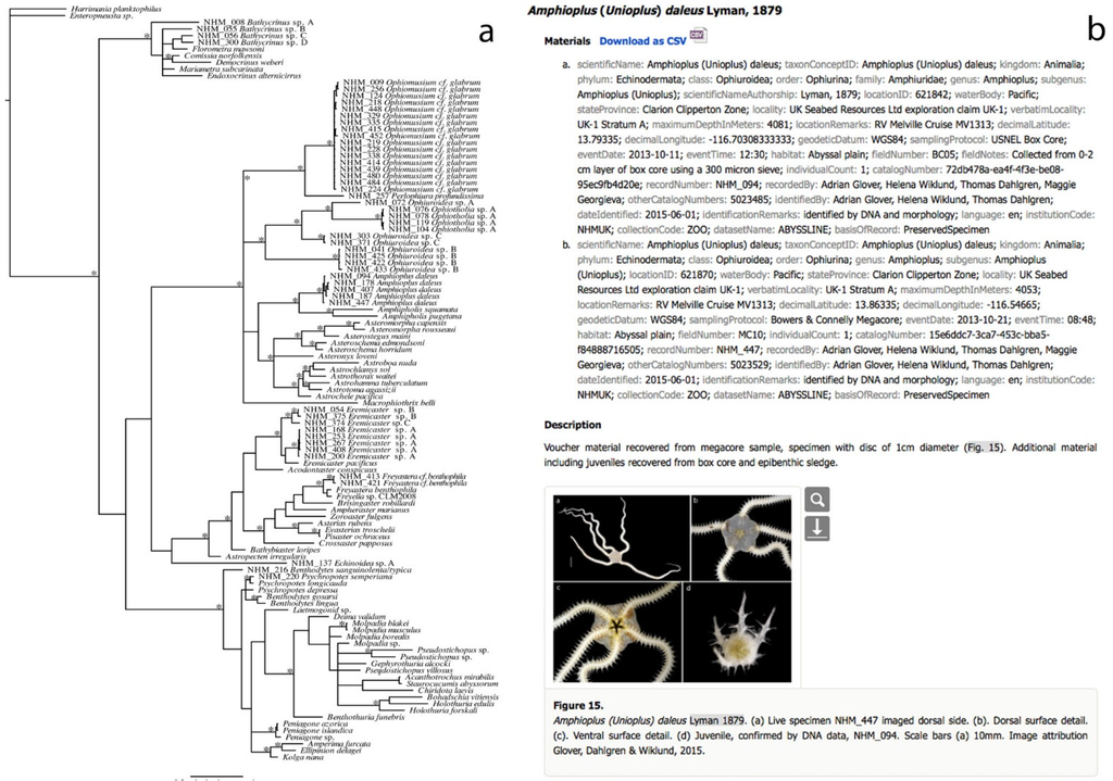 JMSE | Free Full-Text | An End-to-End DNA Taxonomy Methodology for ...