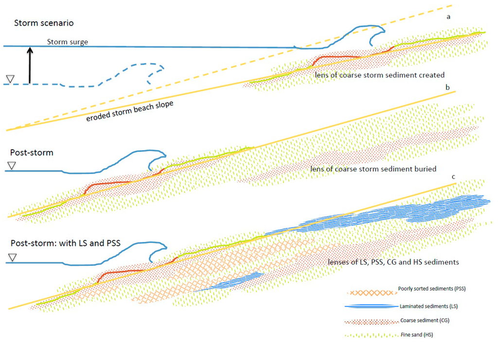 JMSE | Special Issue : Coastal Morphodynamics