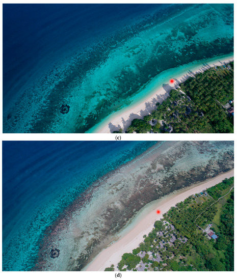 Biorock Electric Reefs Grow Back Severely Eroded Beaches in Months