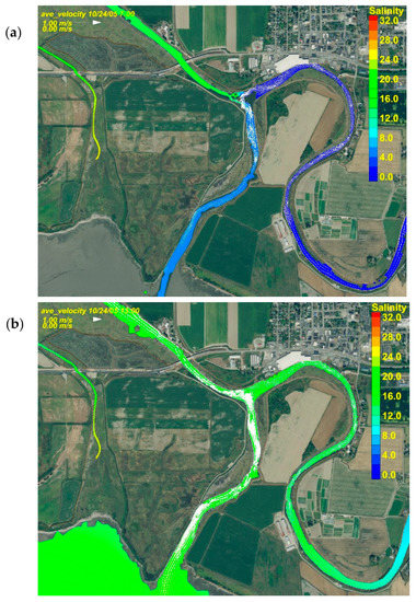 JMSE | Free Full-Text | Detailed Hydrodynamic Feasibility Assessment ...