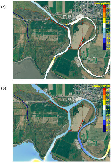 Detailed Hydrodynamic Feasibility Assessment for Leque Island and Zis a ...