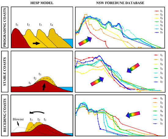 Interdecadal Foredune Changes along the Southeast Australian Coastline ...