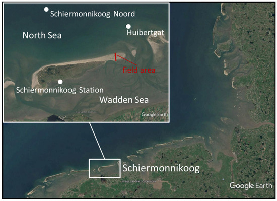 Sediment Transport Processes during Barrier Island Inundation under ...