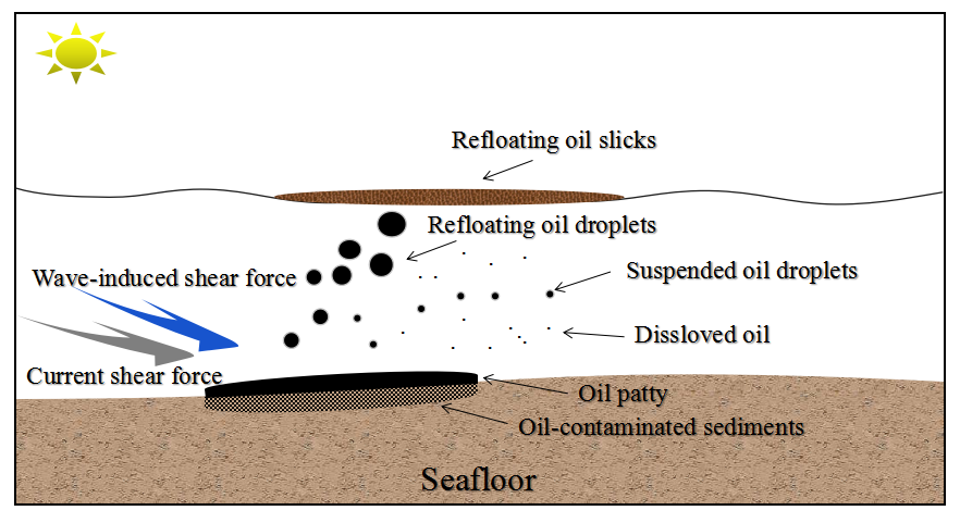 JMSE | Free Full-Text | Effects of Wave Conditions and Particle Size on ...