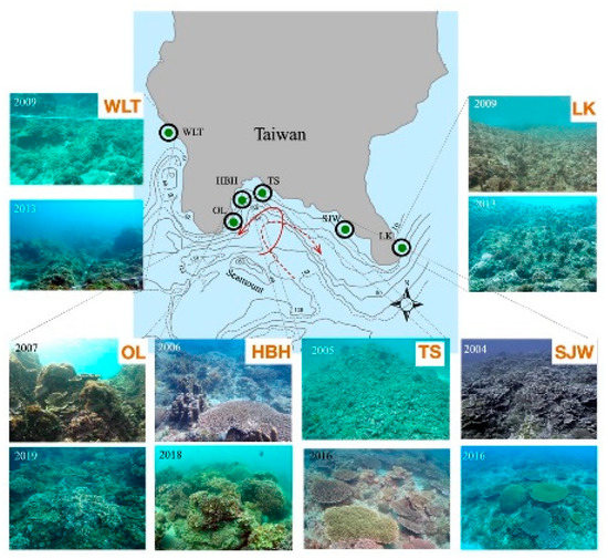 Coral Reef Resilience in Taiwan: Lessons from Long-Term Ecological ...