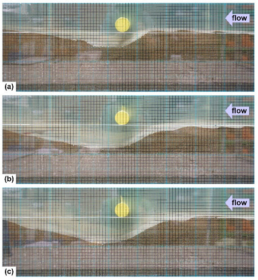 Experimental and Numerical Investigation of Self-Burial Mechanism of ...
