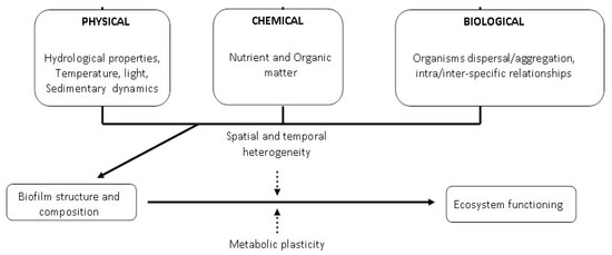 Microbial Colonization in Marine Environments: Overview of Current ...