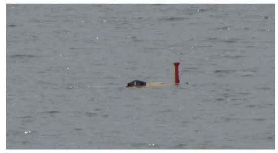 AUV 3D Path Planning Based on the Improved Hierarchical Deep Q Network