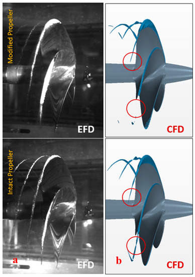 Suppression of Tip Vortex Cavitation Noise of Propellers using PressurePoresTM Technology
