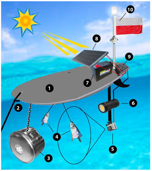 JMSE | Free Full-Text | A Time-Extended (24 h) Baited Remote Underwater ...