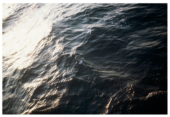 Wind–Wave Modeling: Where We Are, Where to Go