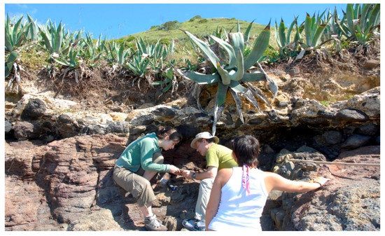 JMSE | Free Full-Text | Comparison of Modern and Pleistocene (MIS 5e ...