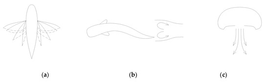 Hydrodynamics of Biomimetic Marine Propulsion and Trends in ...