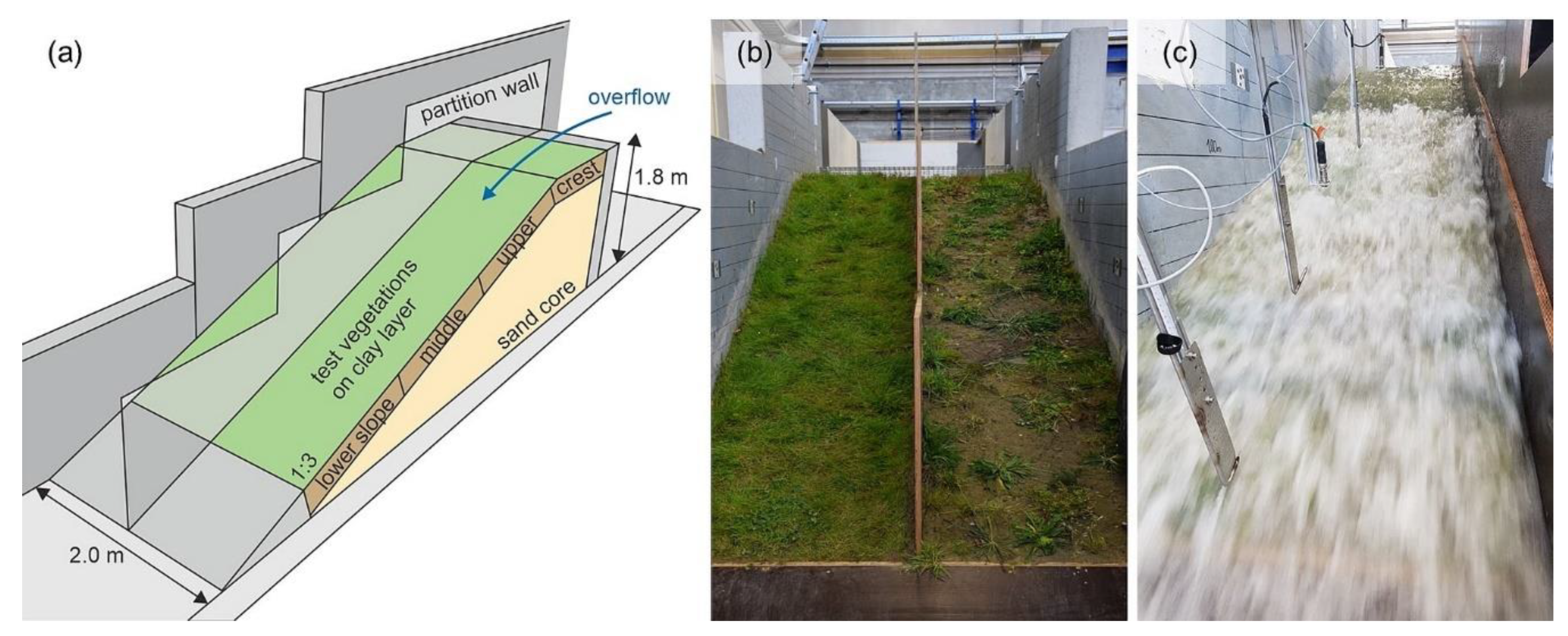 Investigating the Erosion Resistance of Different Vegetated Surfaces ...