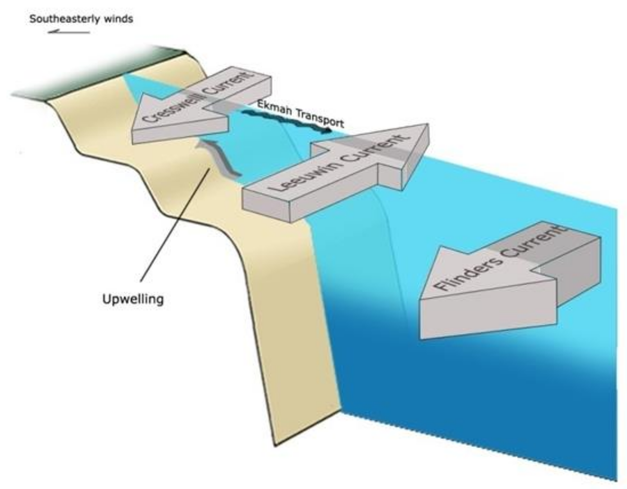 Dynamics and Seasonality of the Leeuwin Current and the Surrounding ...