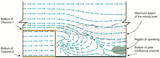 Flow, Sediment, and Morpho-Dynamics of River Confluence in Tidal and Non-Tidal Environments