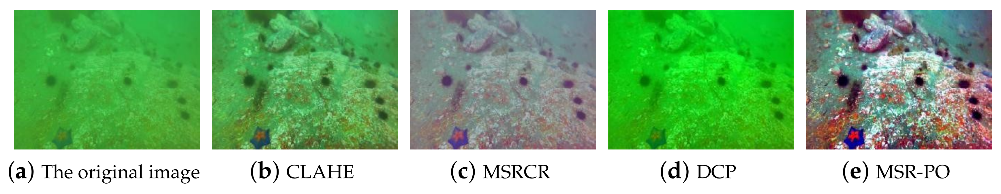 JMSE | Free Full-Text | An Underwater Image Enhancement Algorithm Based on MSR Parameter ...