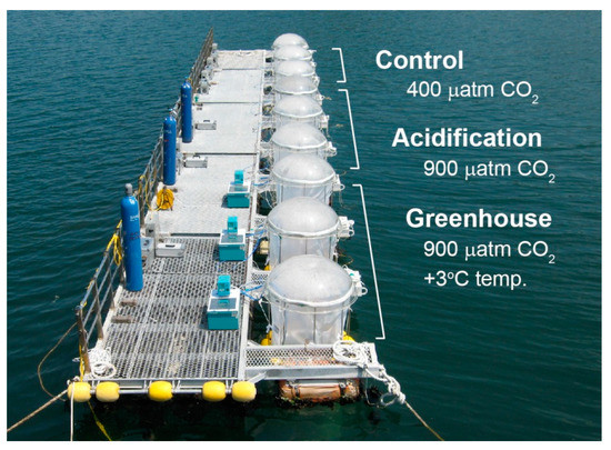 The Effects of Ocean Acidification and Warming on Growth of a Natural ...