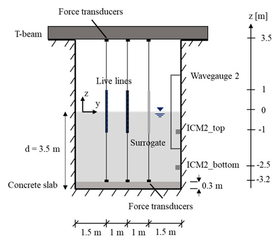 Large-Scale Laboratory Experiments on Mussel Dropper Lines in Ocean ...