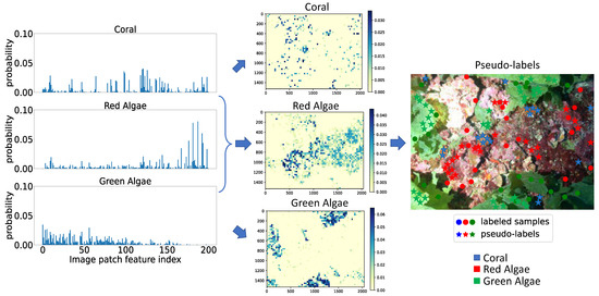 JMSE | Free Full-Text | Coral Image Segmentation with Point-Supervision via Latent Dirichlet ...