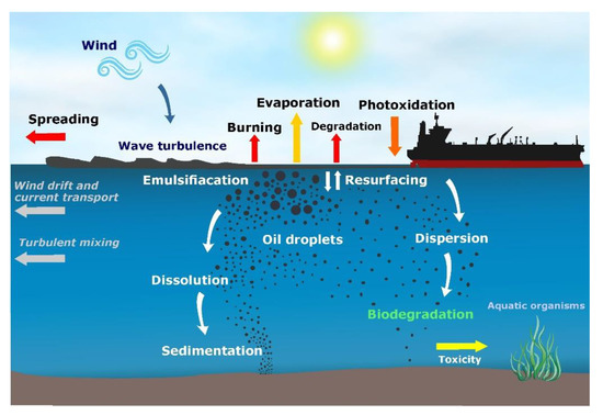 JMSE | Free Full-Text | Oil Spill Modeling: A Critical Review on ...