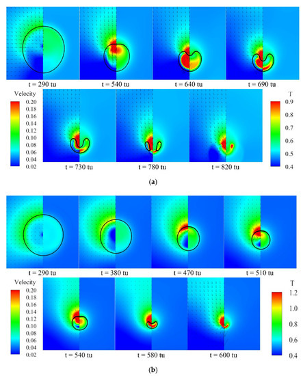 Study on the Collapse Process of Cavitation Bubbles Including Heat Transfer by Lattice Boltzmann ...