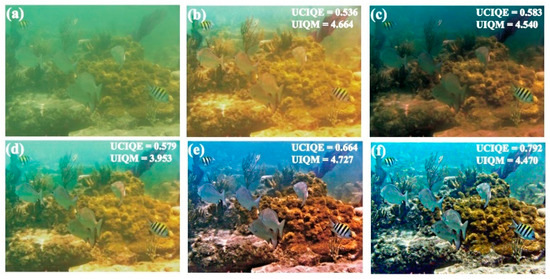 Underwater Image Enhancement Based on Local Contrast Correction and ...