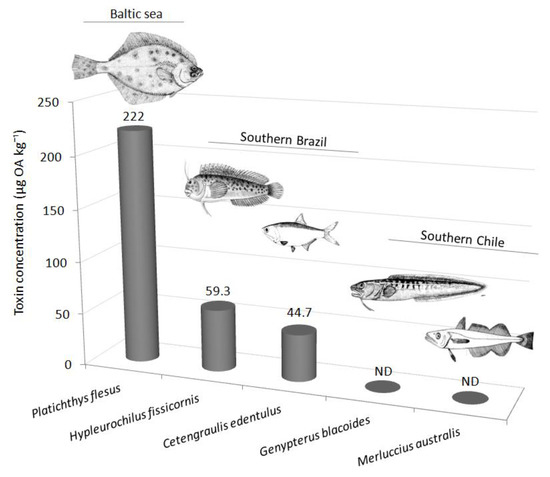 Effects of the Marine Biotoxins Okadaic Acid and Dinophysistoxins on Fish
