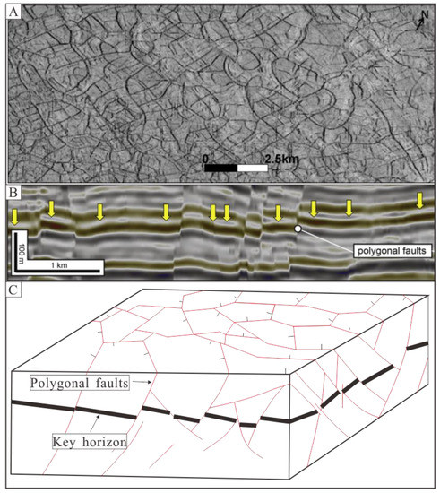 Structures in Shallow Marine Sediments Associated with Gas and Fluid ...