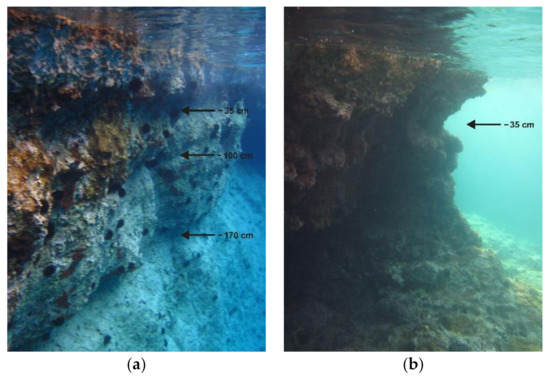 Multiple Submerged Tidal Notches: A Witness of Sequences of Coseismic ...