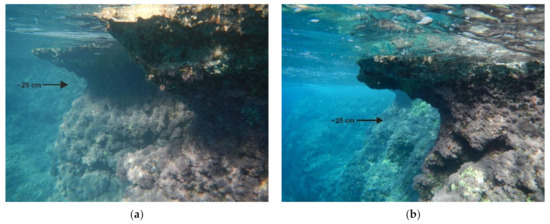 Multiple Submerged Tidal Notches: A Witness of Sequences of Coseismic ...