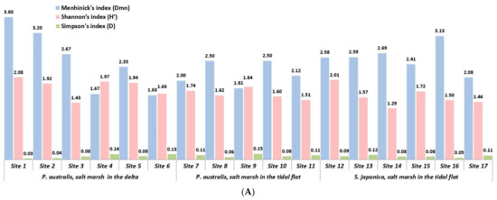 Endophytic Fungi of Emersed Halophytes in River Deltas and Tidal Flats ...